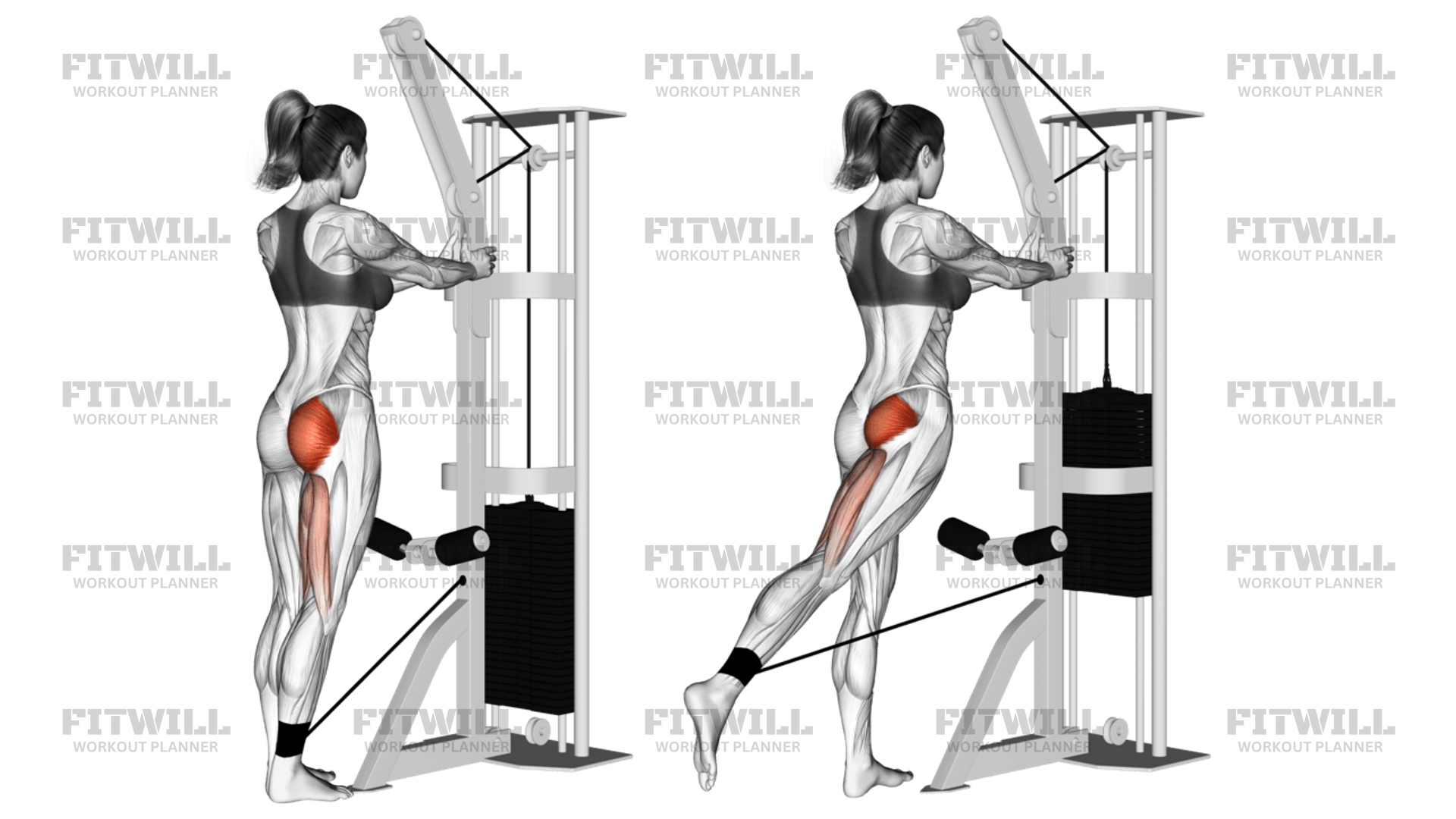 Cable Standing Hip Extension (version 2): Exercise Guide, Video ...