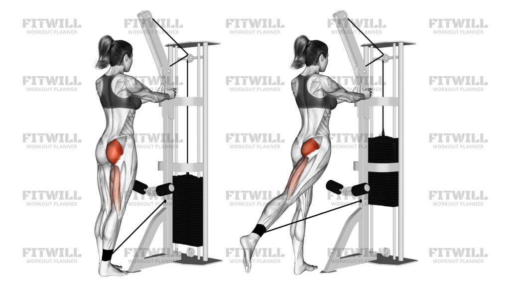 Cable Standing Hip Extension (version 2): Exercise Guide, Video, Techniques, Benefits, How to ...
