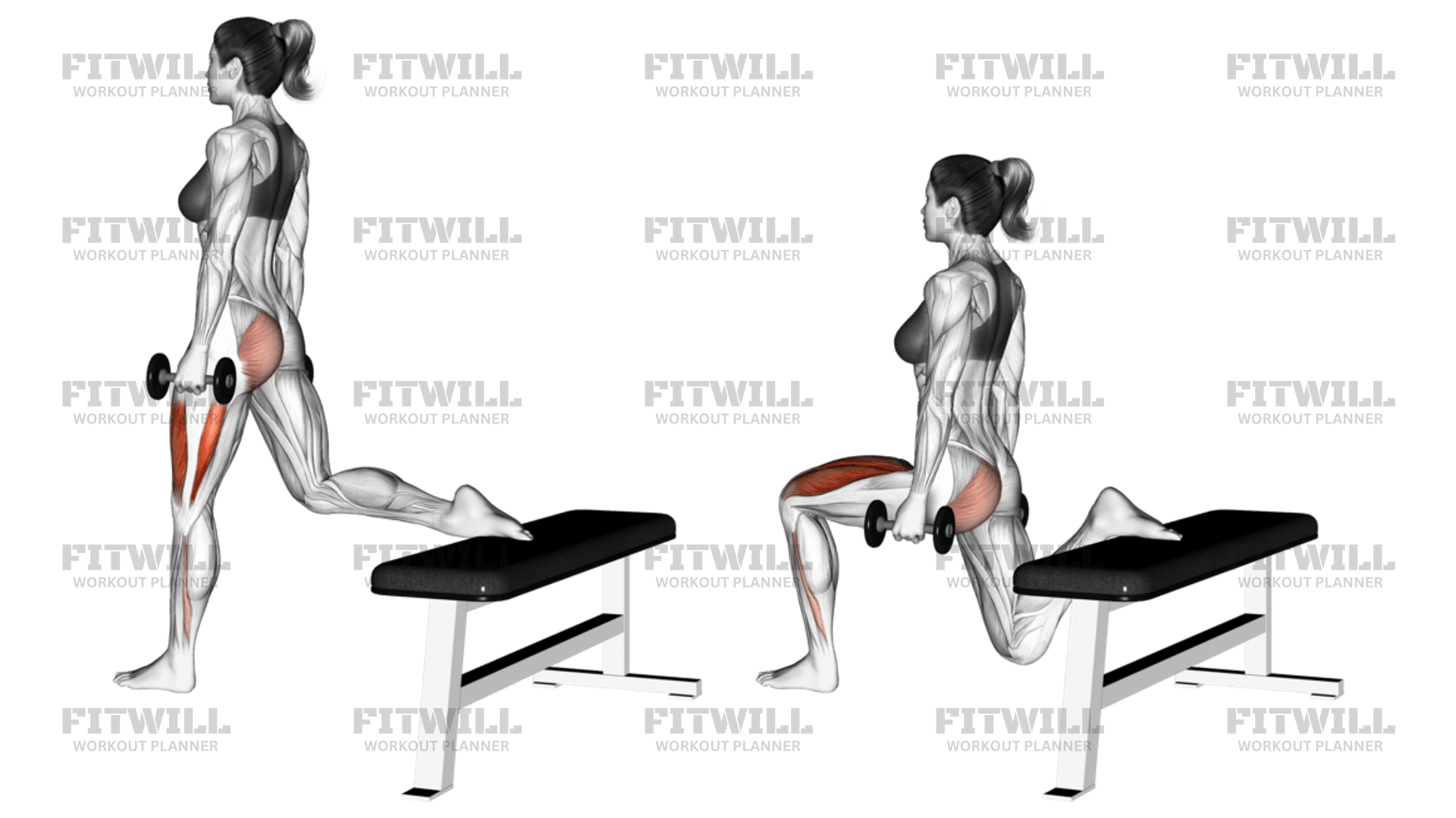 Dumbbell One Leg Squat: Exercise Guide, Techniques, Benefits, How to ...