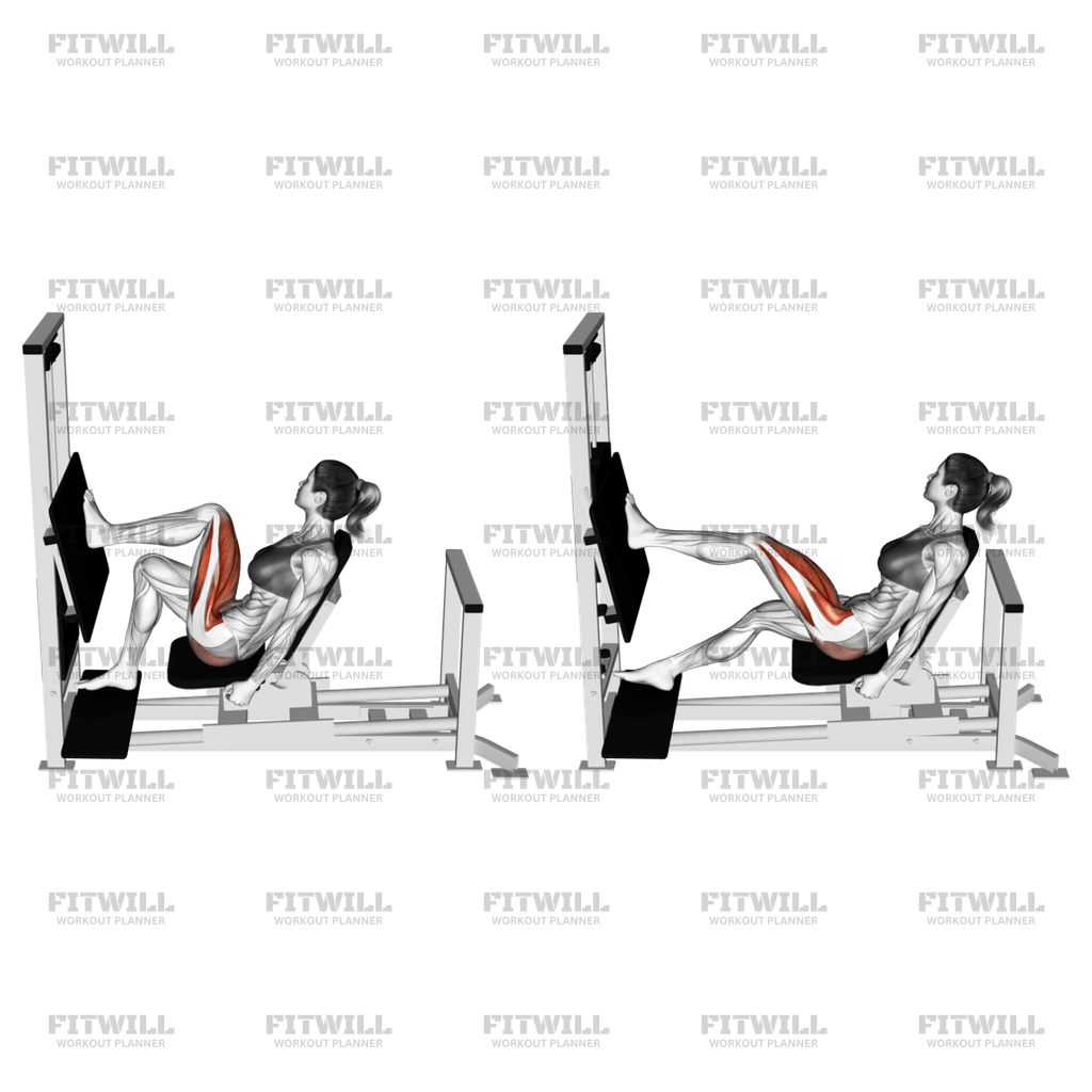 Prensa Horizontal Con Palanca Y Una Pierna: Guía de Ejercicios, Video ...