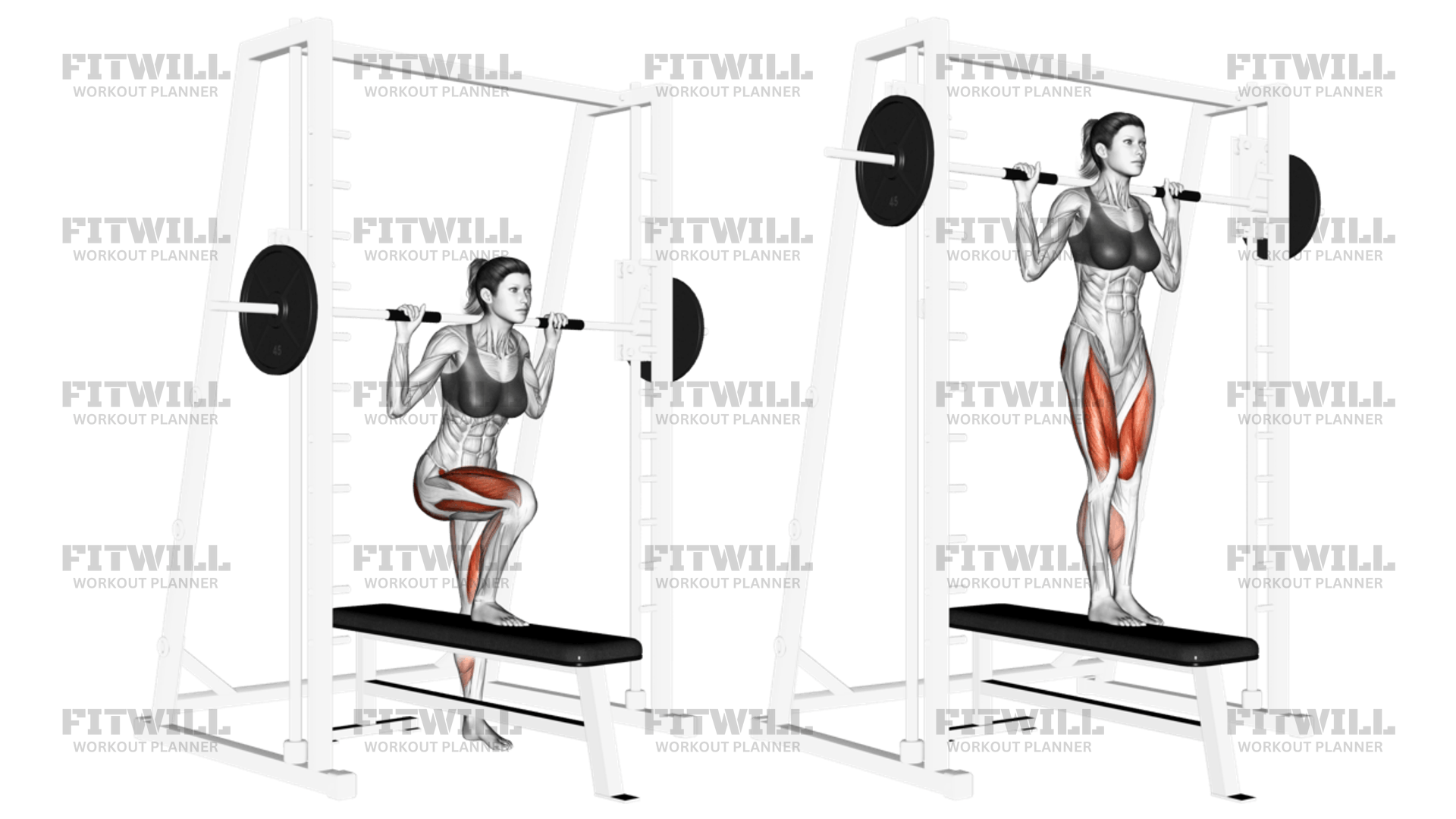 Elevación Lateral En Smith: Guía de Ejercicios, Técnicas, Beneficios ...