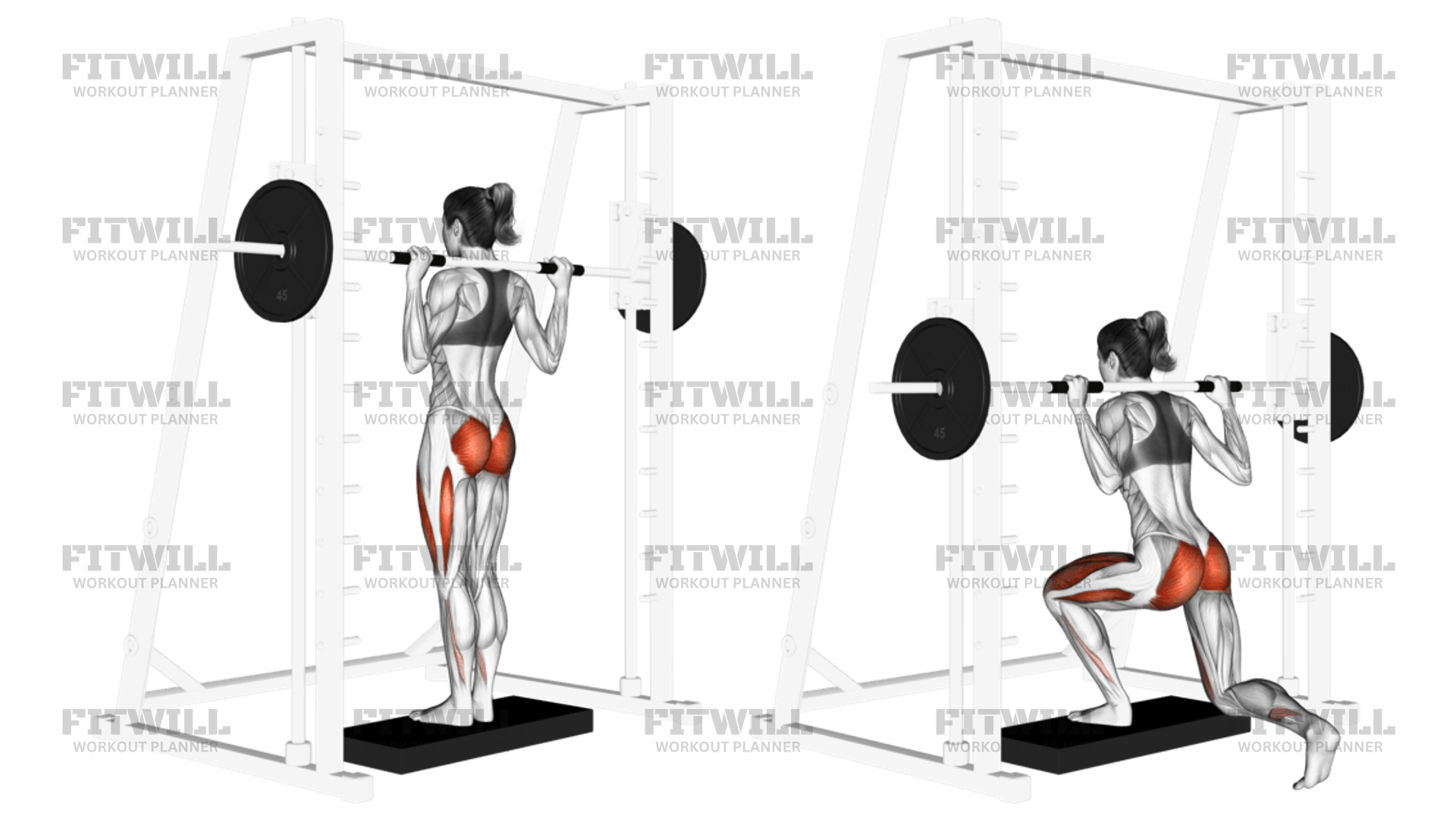 Smith Rear Lunge (version 2): Exercise Guide, Video, Techniques ...