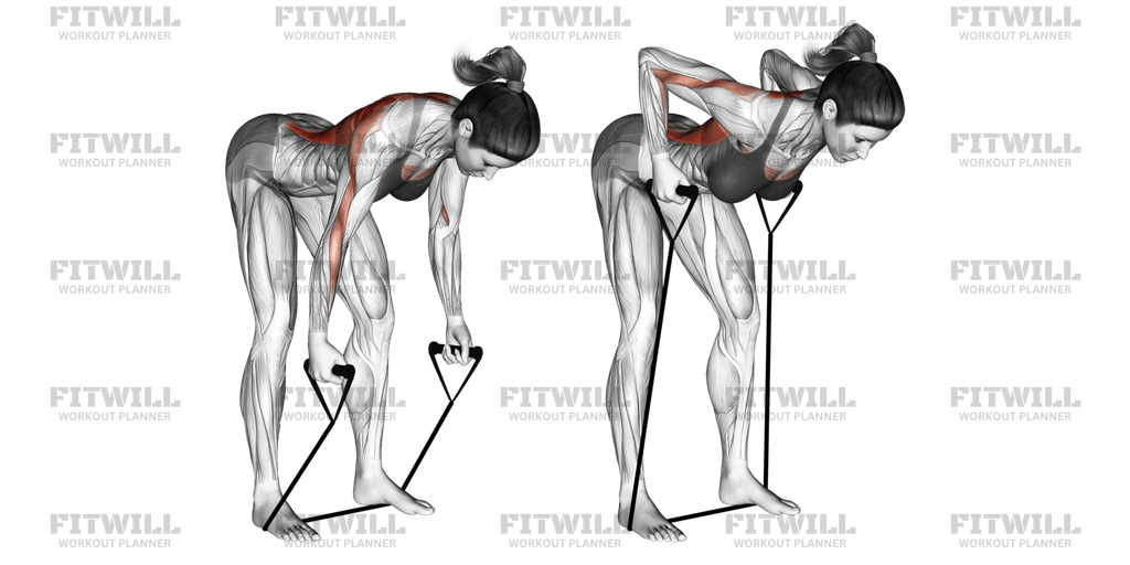 Band Bent-over Row: Exercise Guide, Video, Techniques, Benefits, How to ...
