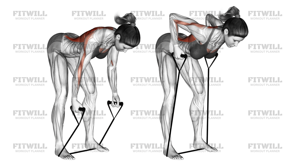 Band Bent-over Row: Exercise Guide, Video, Techniques, Benefits, How to ...