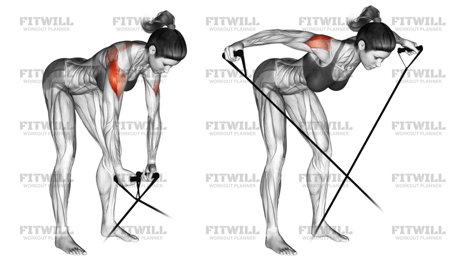 Band Bent-over Rear Lateral Raise: Exercise Guide, Video, Techniques ...