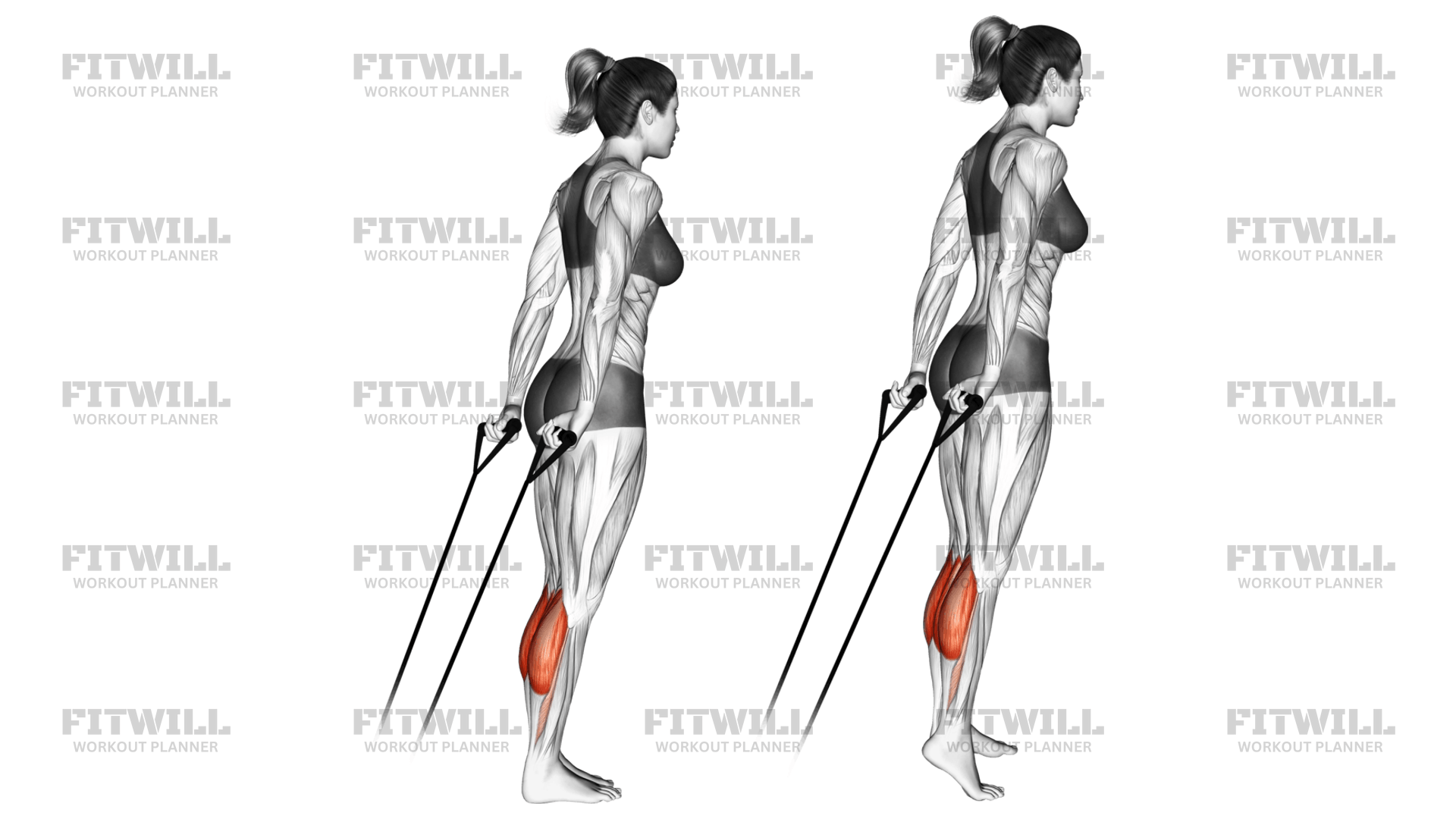 Band Calf Raise: Exercise Guide, Techniques, Benefits, How to, Muscles ...