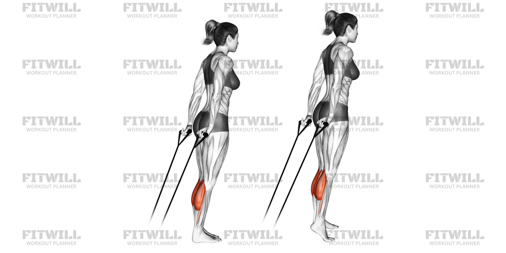 Band Calf Raise: Exercise Guide, Techniques, Benefits, How to, Muscles ...