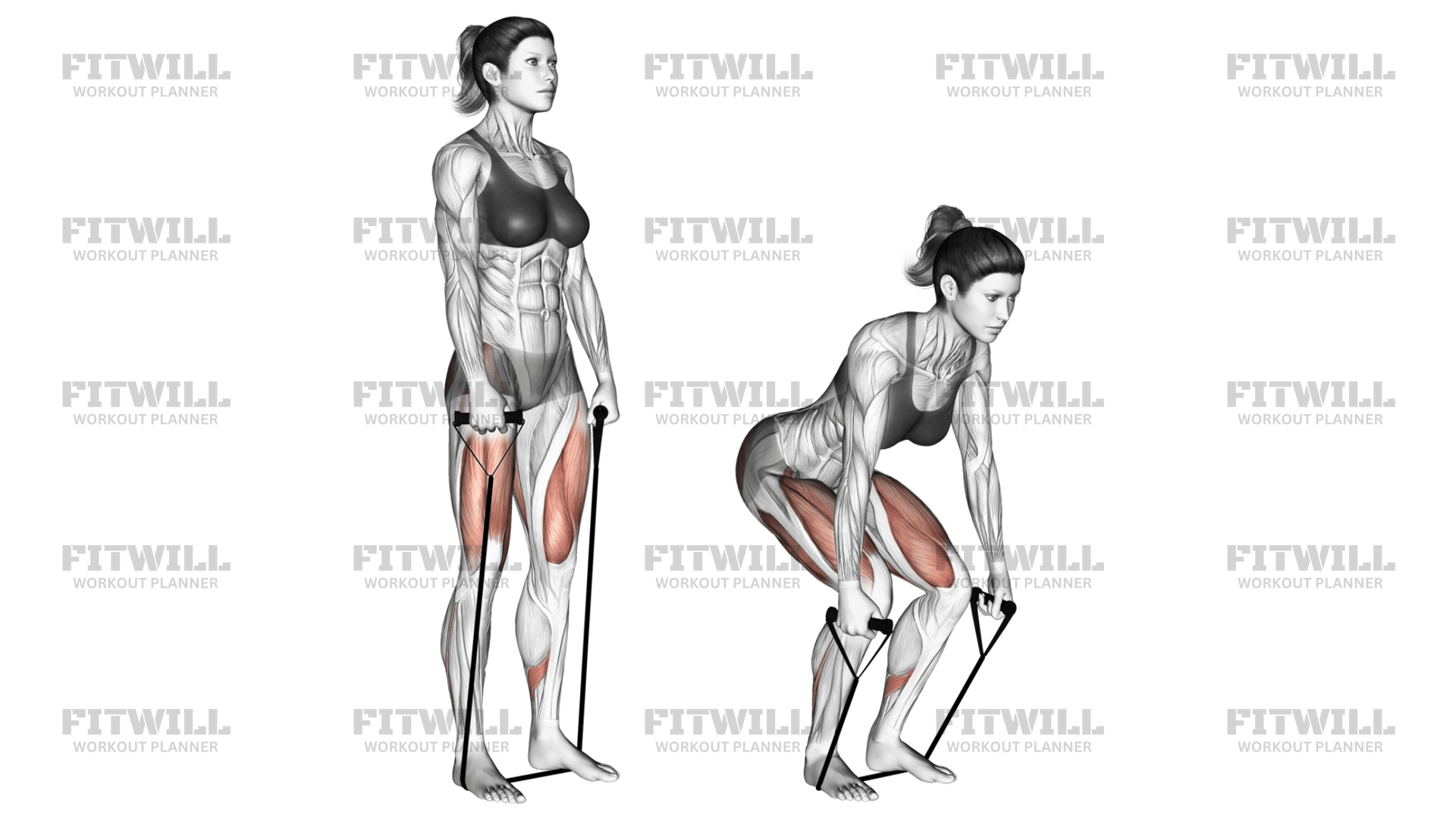 Band Deadlift: Exercise Guide, Video, Techniques, Benefits, How to ...