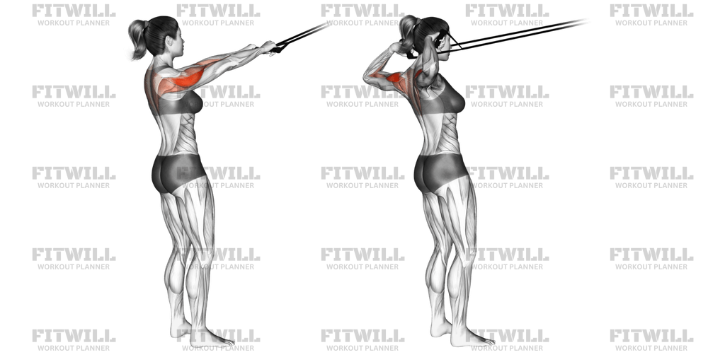 Band Face Pull: Exercise Guide, Video, Techniques, Benefits, How to ...