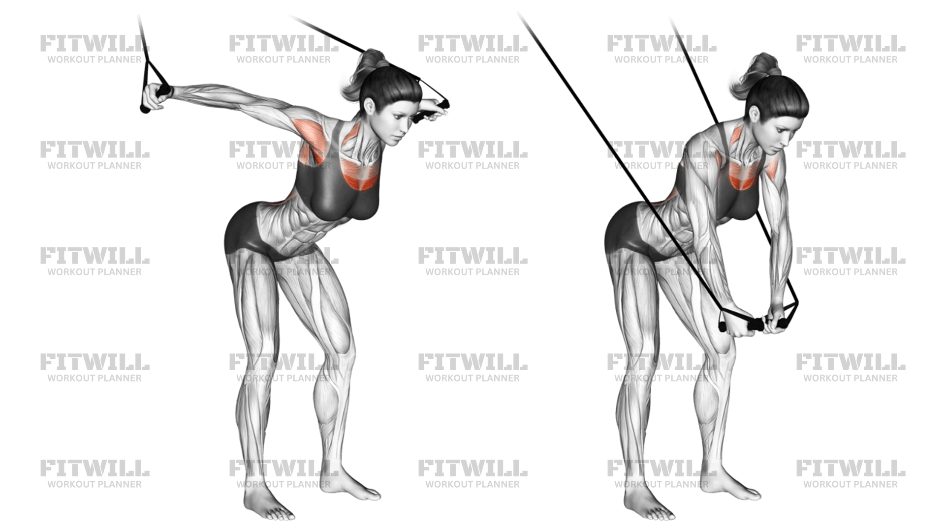 Band High Fly: Exercise Guide, Video, Techniques, Benefits, How to ...