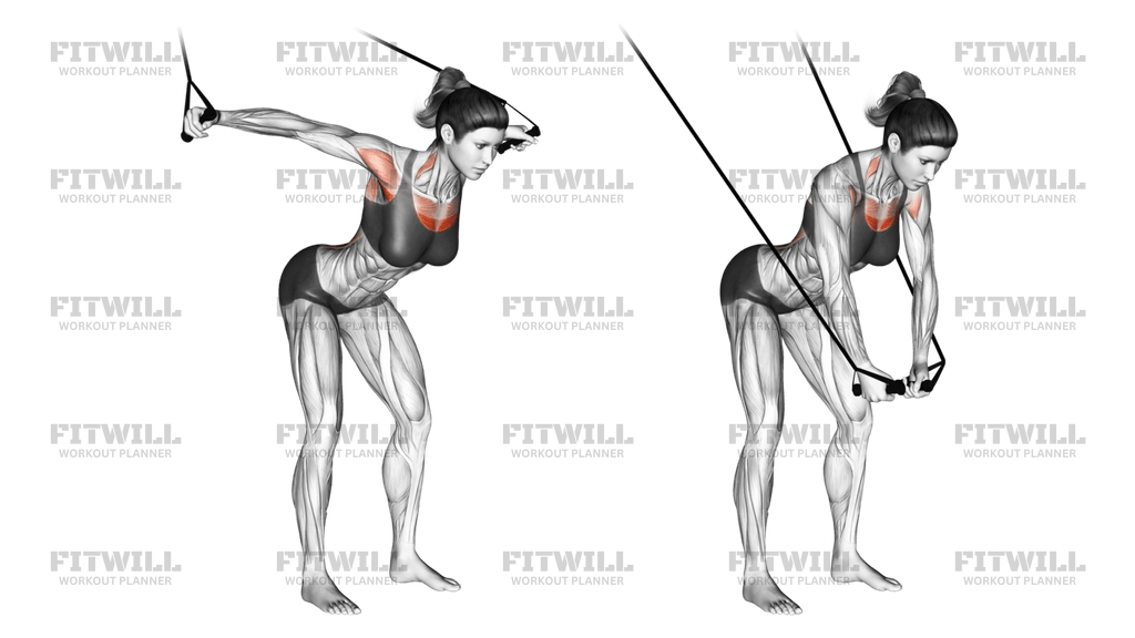 Band High Fly: Exercise Guide, Video, Techniques, Benefits, How to ...
