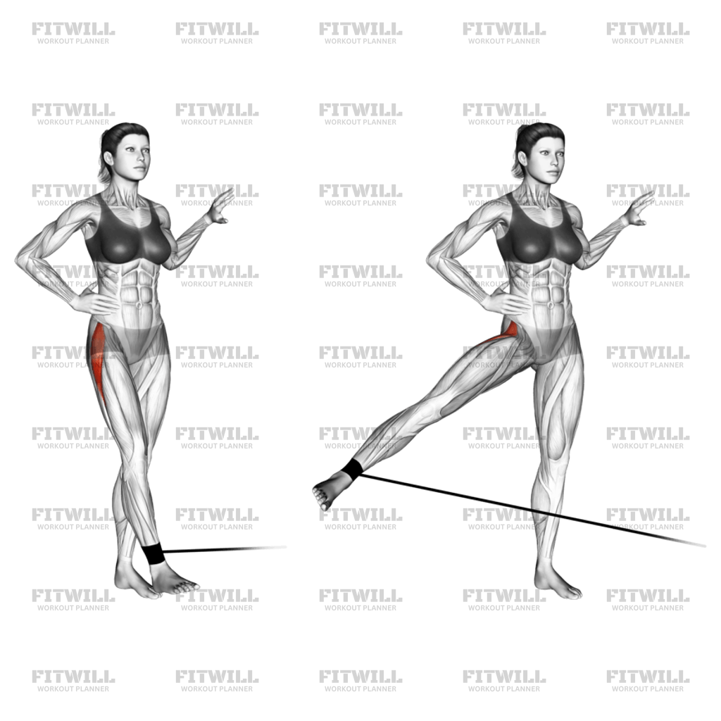 Band Hip Abduction: Exercise Guide, Video, Techniques, Benefits, How to ...