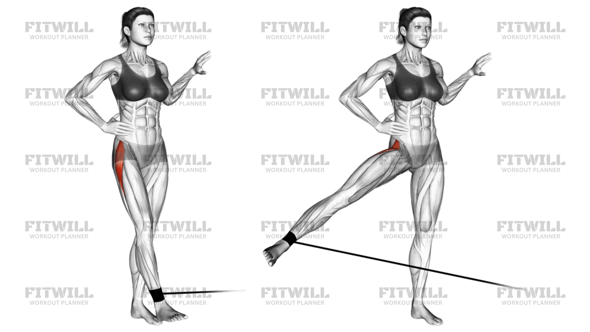 Abduction De La Hanche Avec Bande Élastique : Vidéo d'exercice | Fitwill