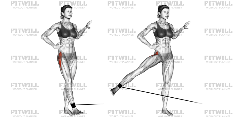 Band Hip Abduction: Exercise Guide, Video, Techniques, Benefits, How to ...