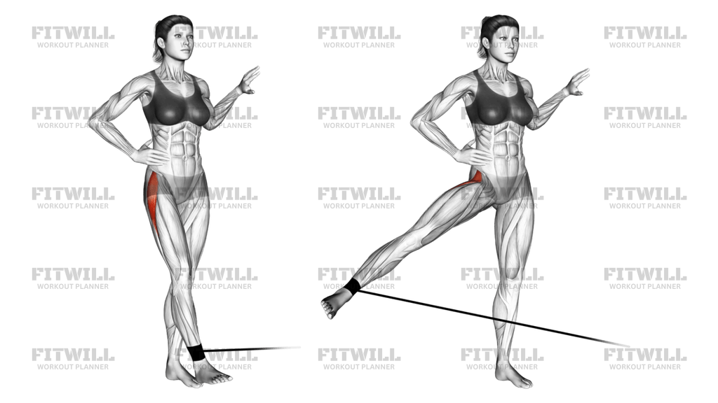 Band Hip Abduction: Exercise Guide, Video, Techniques, Benefits, How to ...