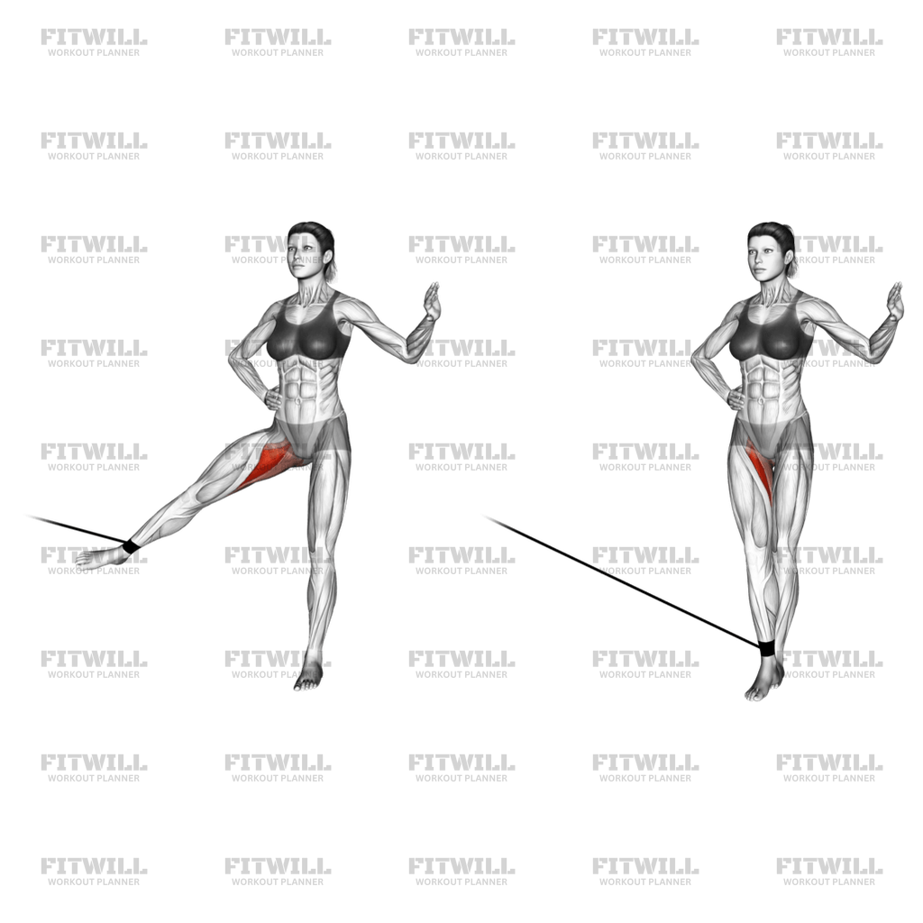 Band Hip Adduction: Exercise Guide, Video, Techniques, Benefits, How to ...