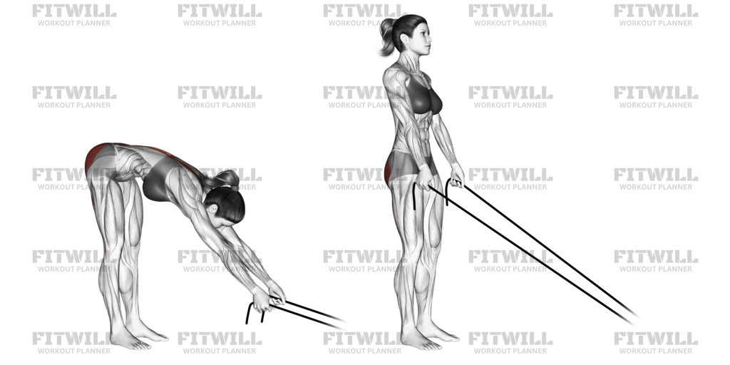 Band Hyperextension: Exercise Guide, Techniques, Benefits, How to ...
