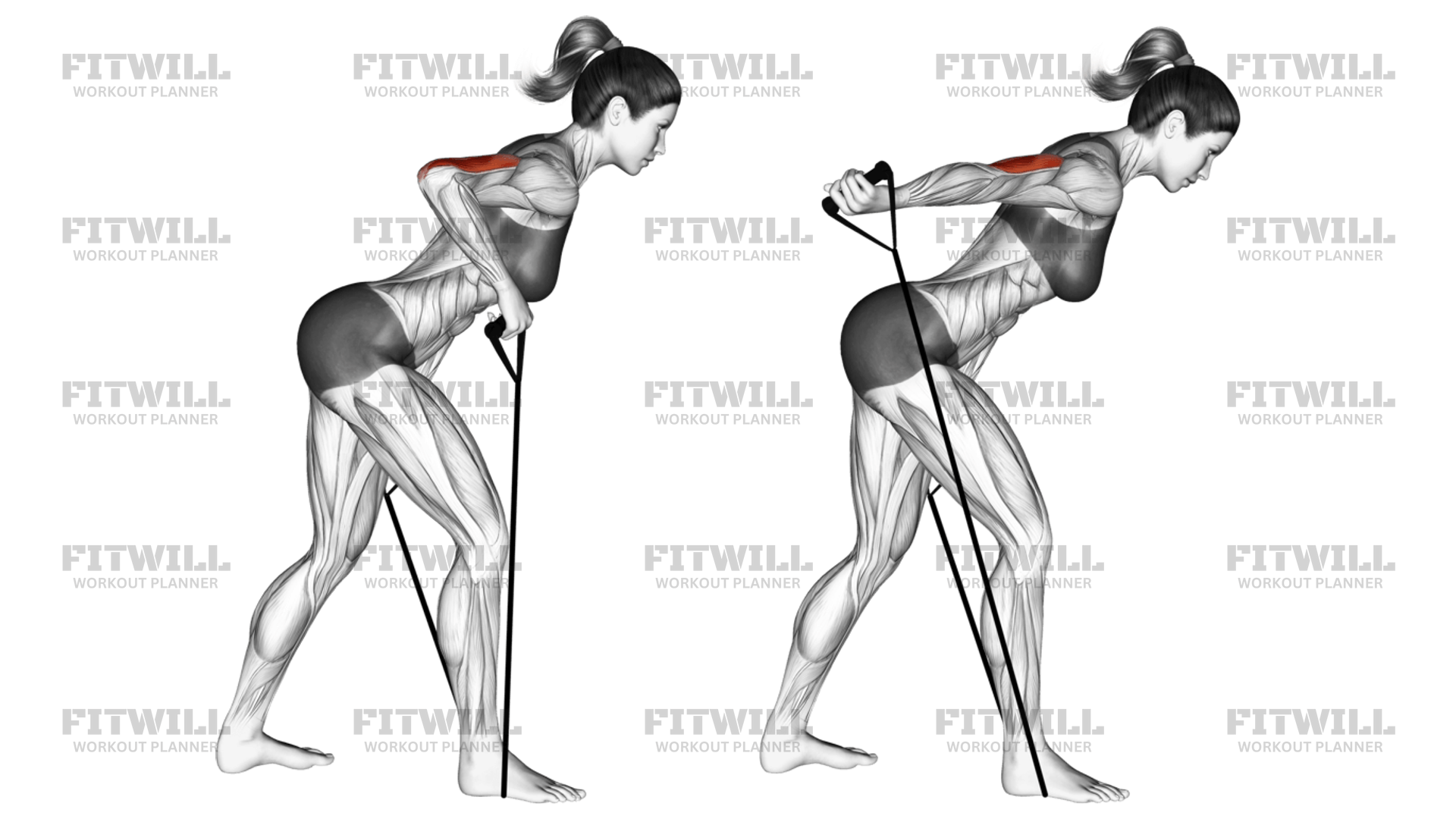 Patada Con Banda Elástica: Guía de Ejercicios, Técnicas, Beneficios ...