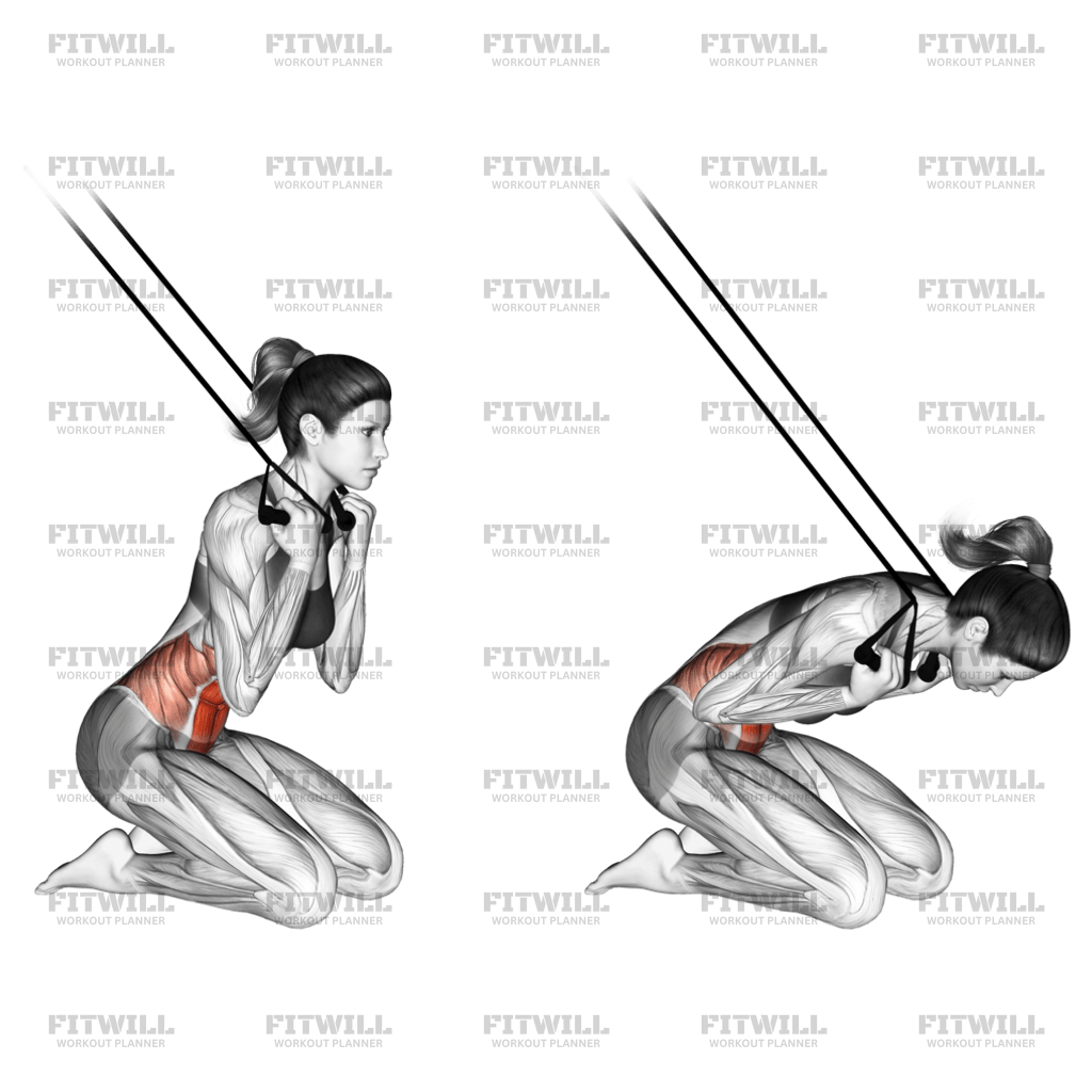 Band Kneeling Crunch: Exercise Guide, Video, Techniques, Benefits, How ...