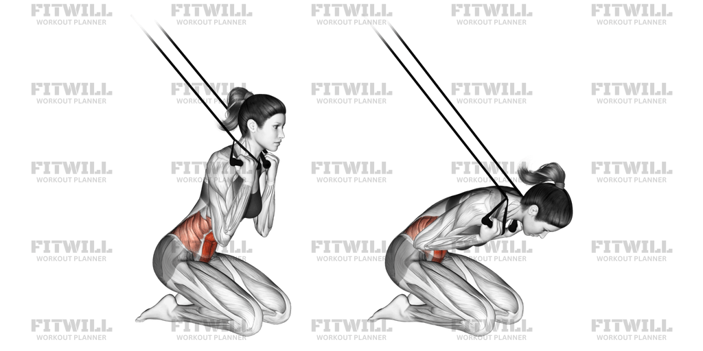 Band Kneeling Crunch: Exercise Guide, Video, Techniques, Benefits, How ...