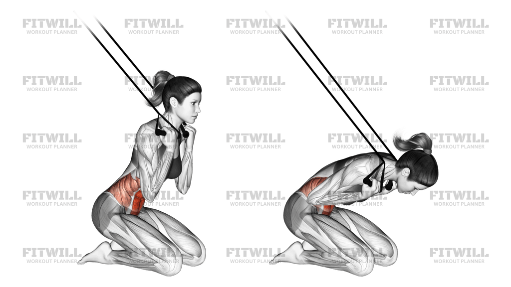 Band Kneeling Crunch: Exercise Guide, Video, Techniques, Benefits, How ...