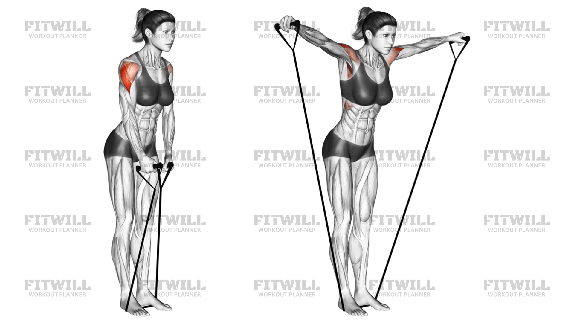 Band Lateral Raise: Exercise Guide, Techniques, Benefits, How to ...