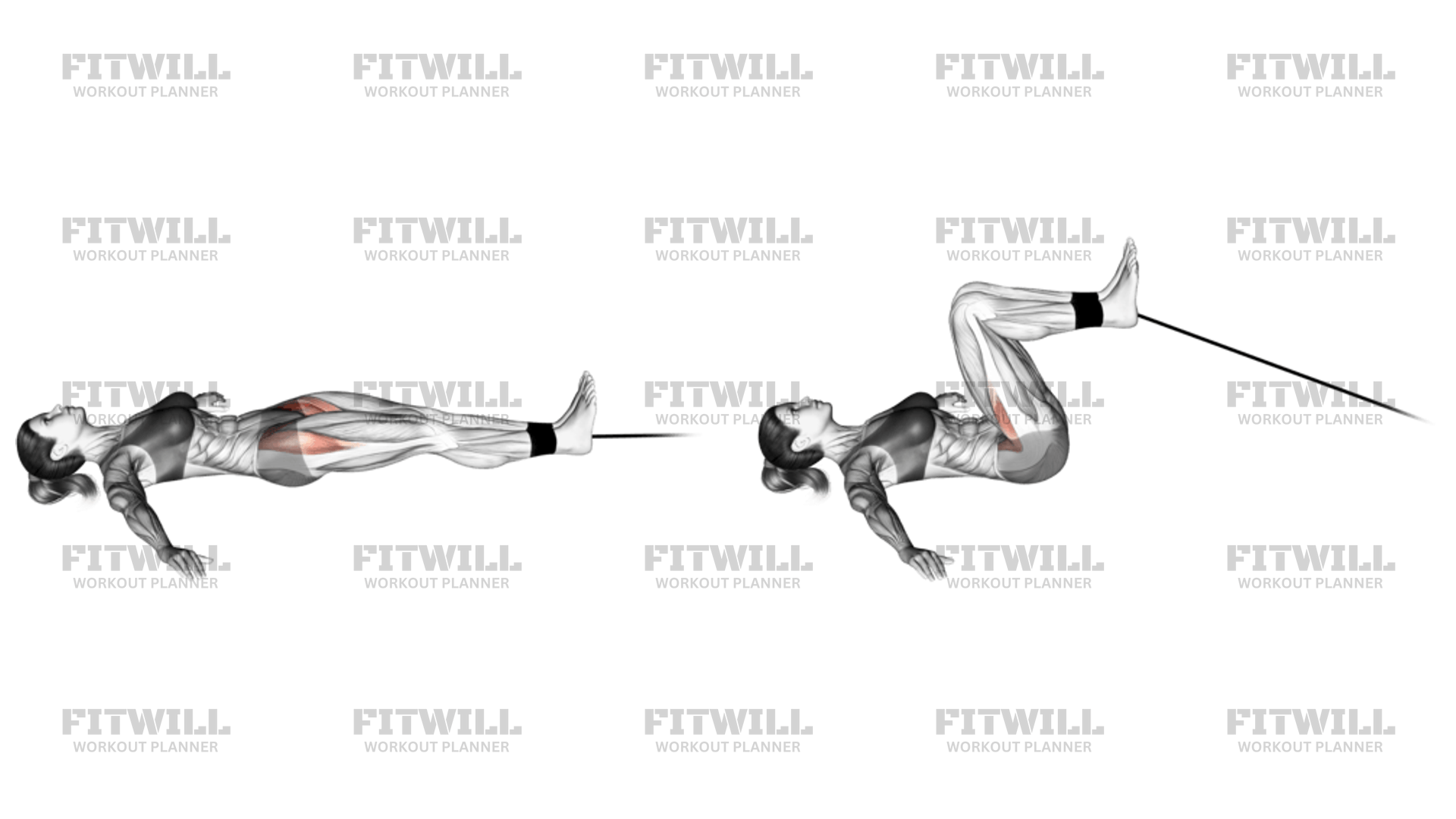 Band Lying Leg Raise: Exercise Guide, Techniques, Benefits, How to ...