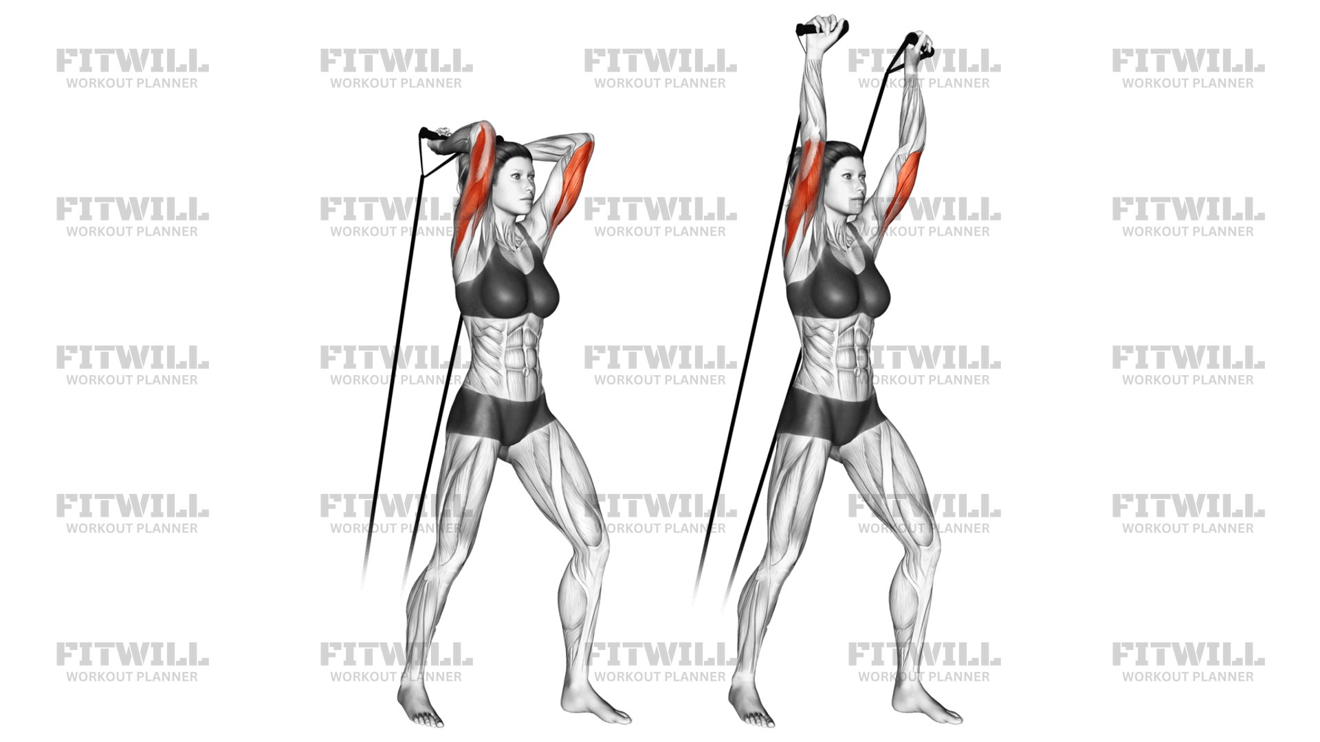 Band Overhead Triceps Extension: Exercise Guide, Video, Techniques ...