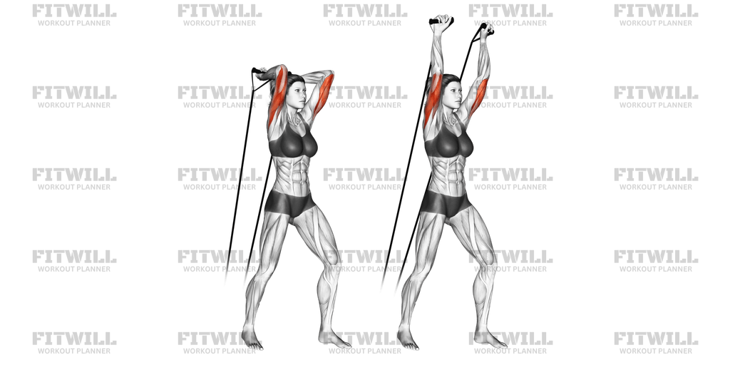 Band Overhead Triceps Extension: Exercise Guide, Video, Techniques ...