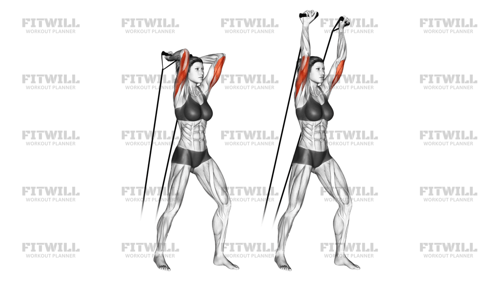 Band Overhead Triceps Extension: Exercise Guide, Video, Techniques ...