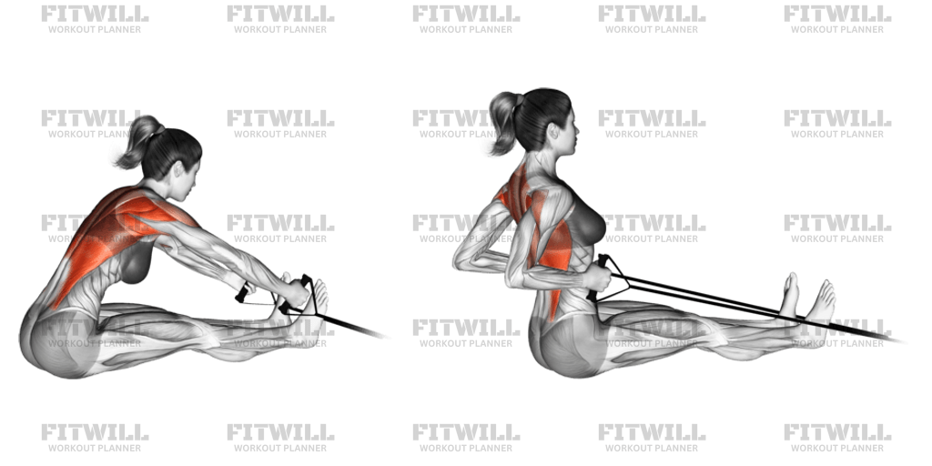 Band Seated Row: Exercise Guide, Video, Techniques, Benefits, How to ...