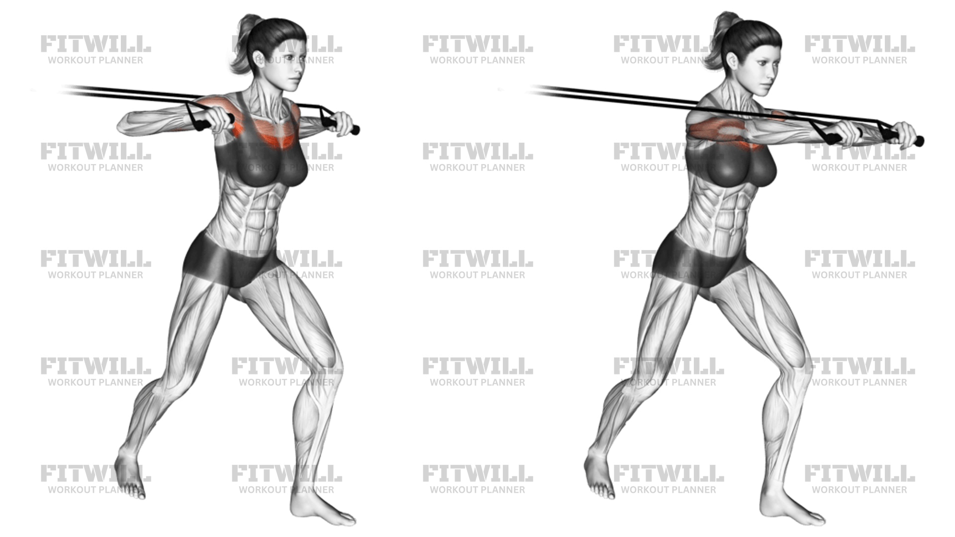 Band Standing Chest Press: Exercise Guide, Video, Techniques, Benefits ...