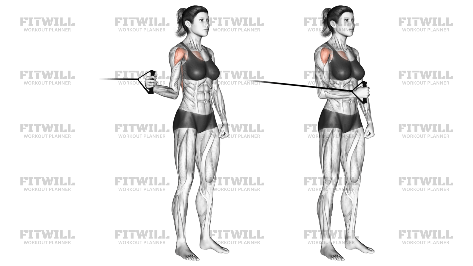 Band Standing Internal Shoulder Rotation: Exercise Guide, Techniques ...