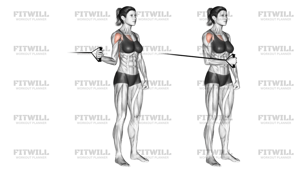 Band Standing Internal Shoulder Rotation: Exercise Guide, Techniques ...