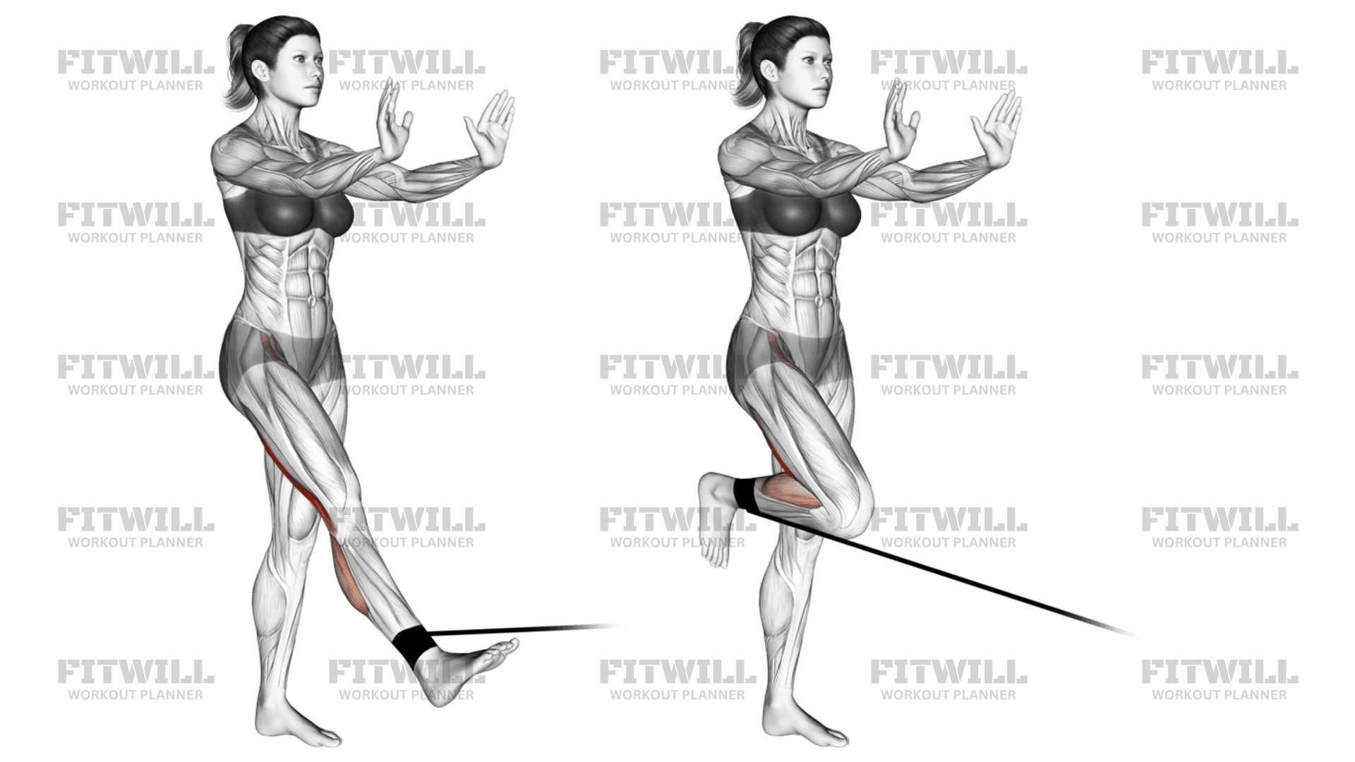 Curl De Pierna De Pie Con Banda: Guía de Ejercicios, Video, Técnicas ...