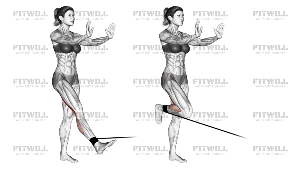 Band Standing Leg Curl: Exercise Guide, Video, Techniques, Benefits ...