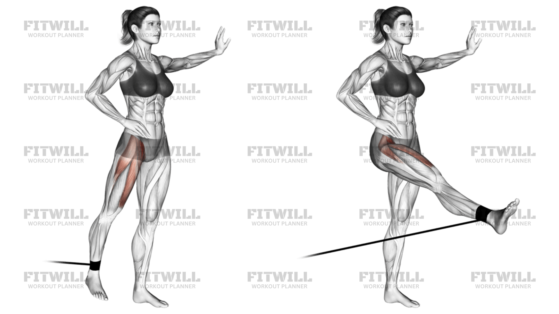 Band Standing Straight Leg Raise: Exercise Guide, Techniques, Benefits ...