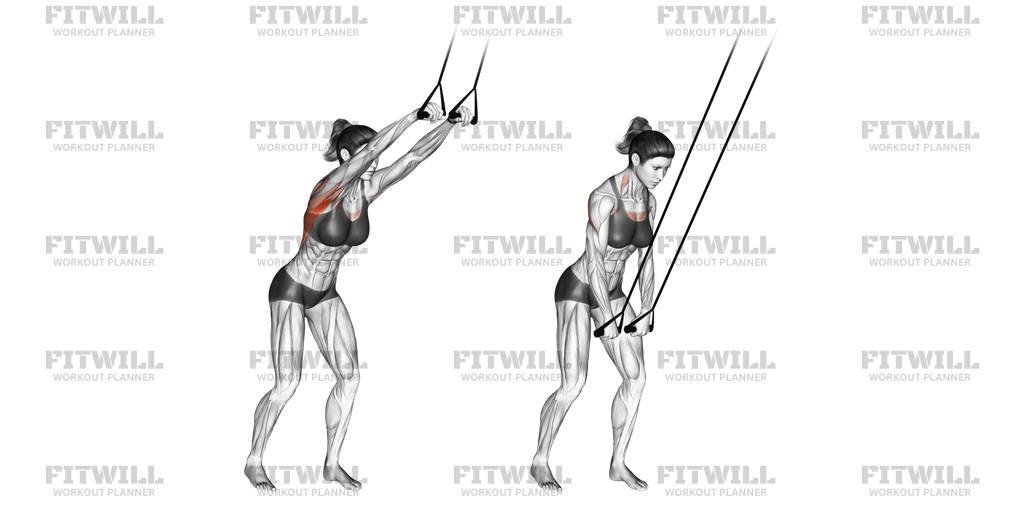 Band Straight-arm Pulldown: Exercise Guide, Techniques, Benefits, How ...