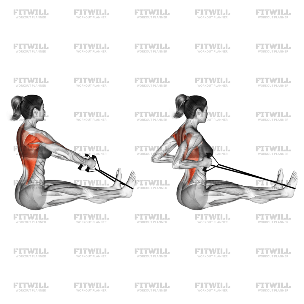 Remo Sentado Con Banda Y Espalda Recta: Guía de Ejercicios, Video ...