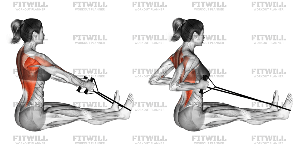Band Straight-back Seated Row: Exercise Guide, Video, Techniques ...