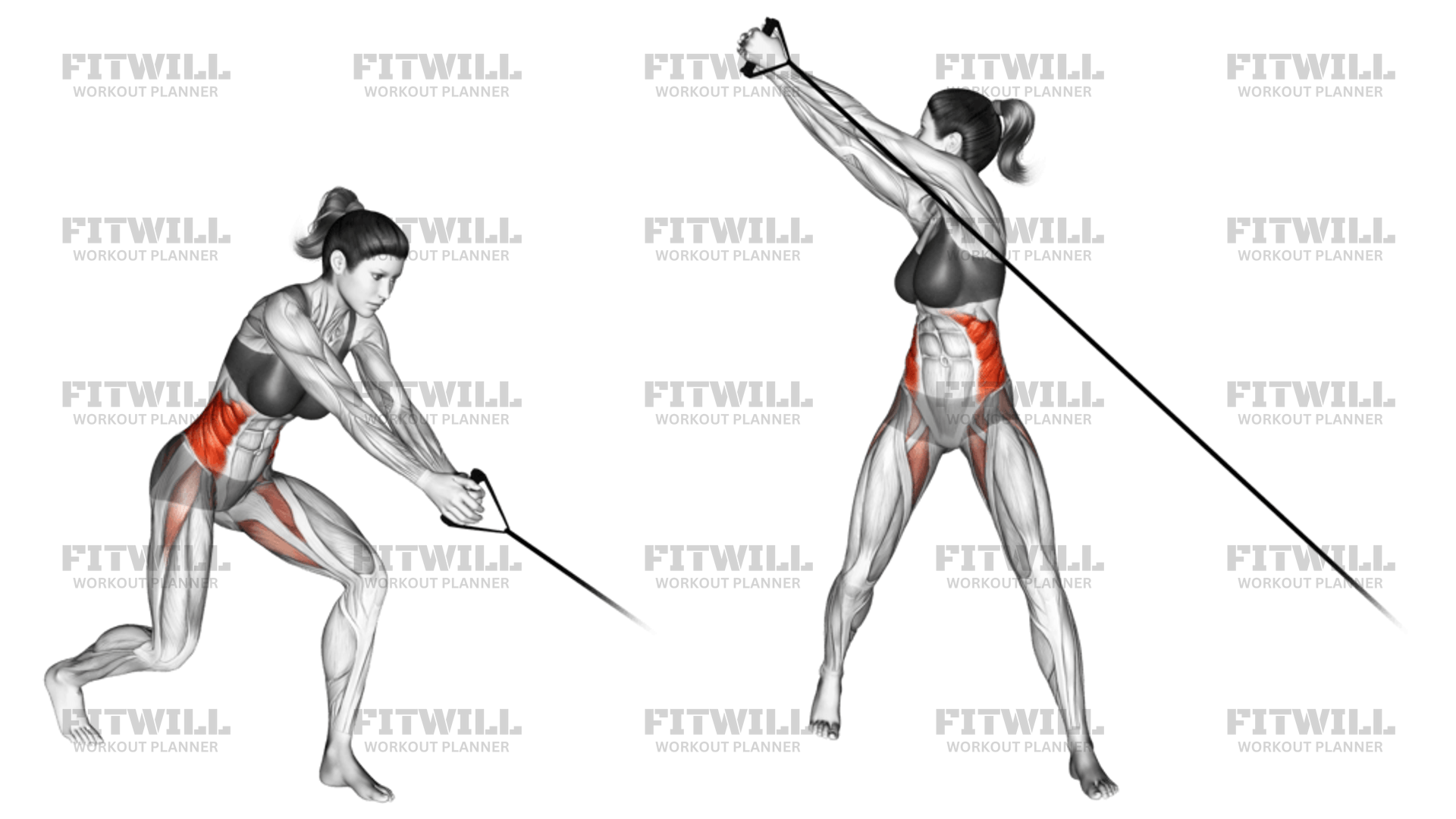 Band Twist (down-up): Exercise Guide, Video, Techniques, Benefits, How ...