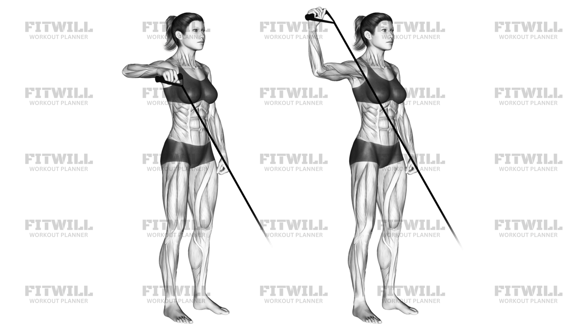 Band Upright Shoulder External Rotation: Exercise Guide, Techniques ...