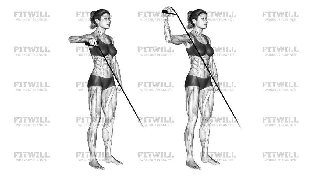 Band Upright Shoulder External Rotation: Exercise Guide, Techniques ...