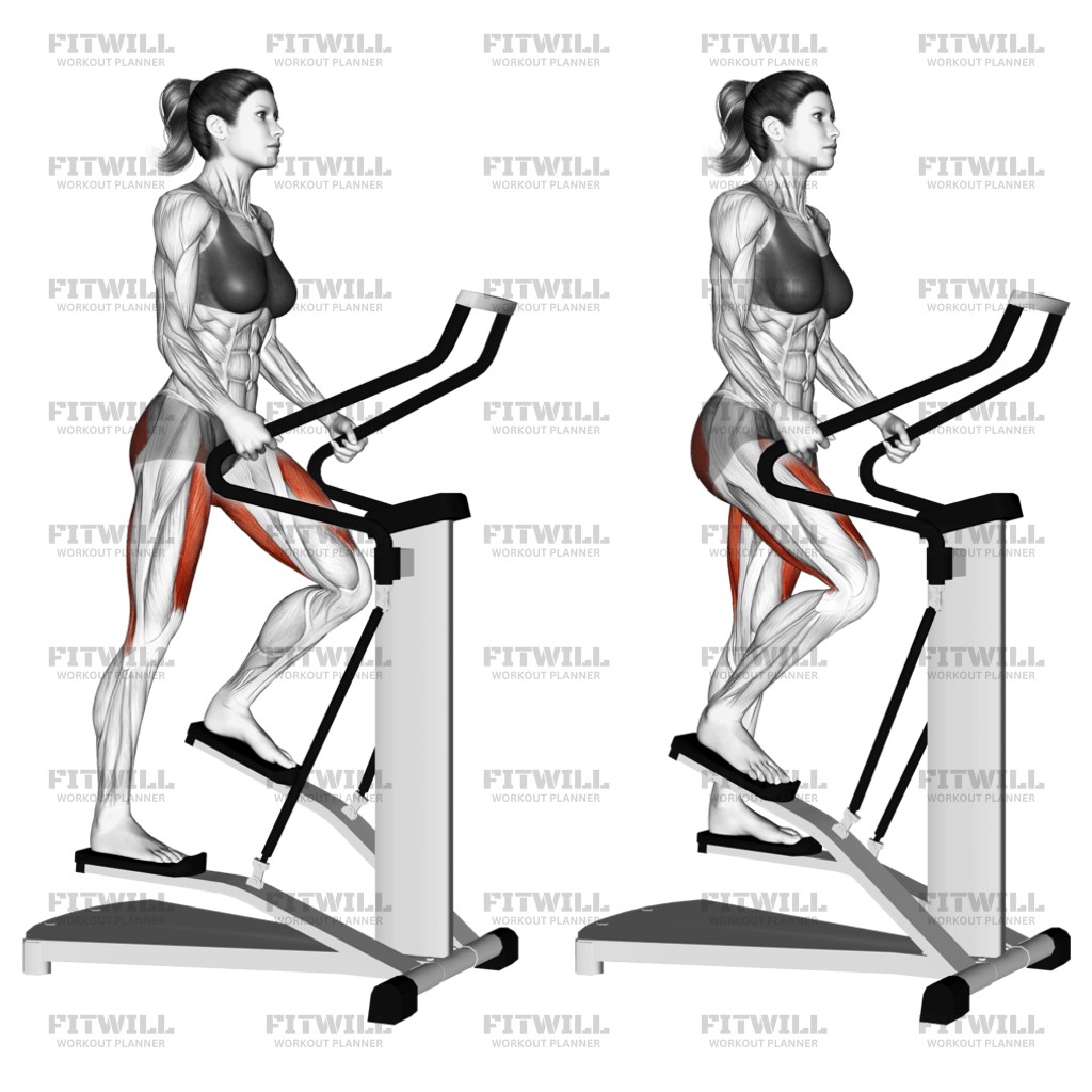 Lever Stepper: Exercise Guide, Video, Techniques, Benefits, How to ...