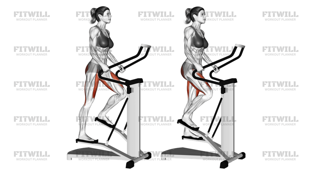 Lever Stepper: Exercise Guide, Video, Techniques, Benefits, How to ...