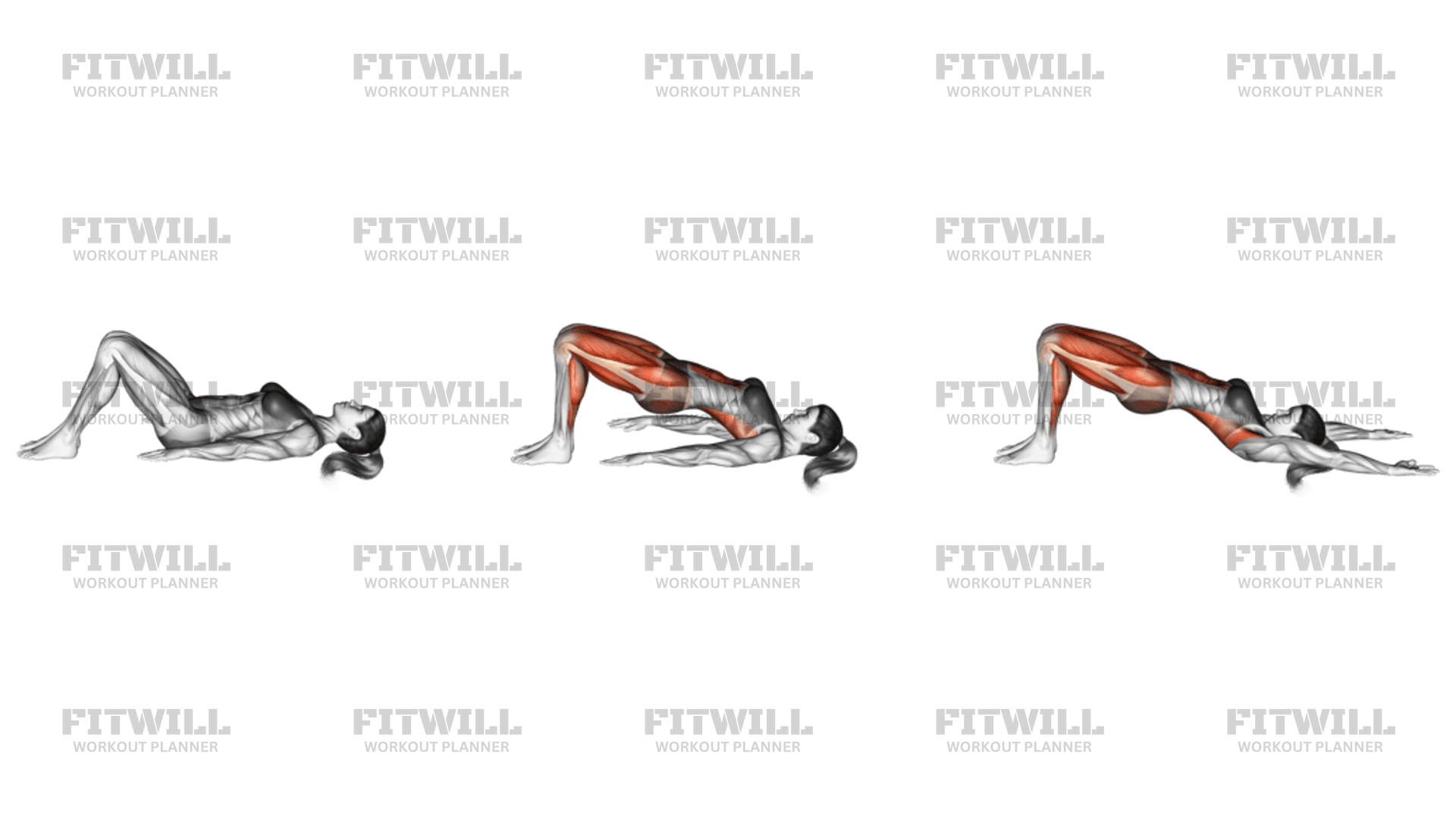 Bridge Pose Setu Bandhasana: Exercise Guide, Video, Techniques ...