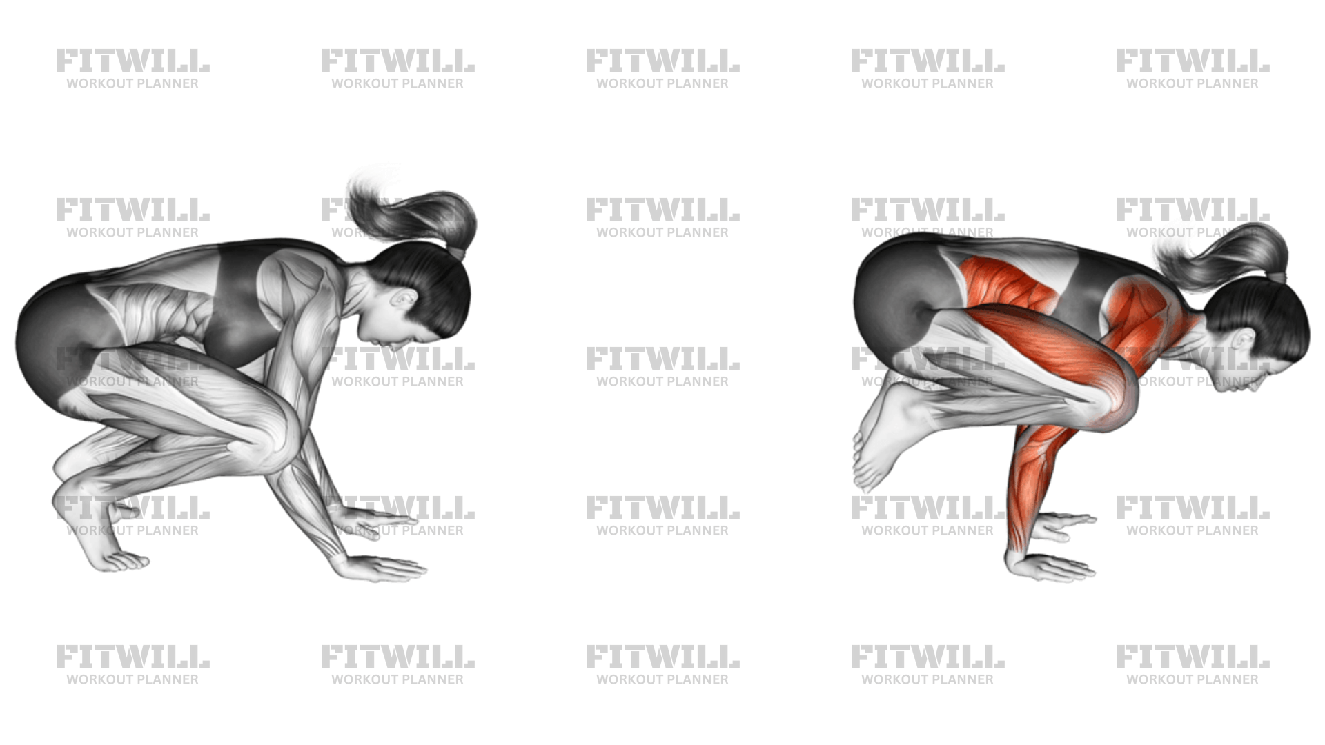 Crane Pose Bakasana: Exercise Guide, Techniques, Benefits, How to ...