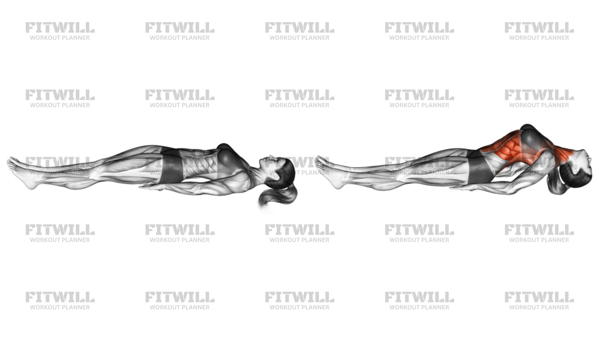 Fish Pose Matsyasana: Exercise Guide, Techniques, Benefits, How to ...