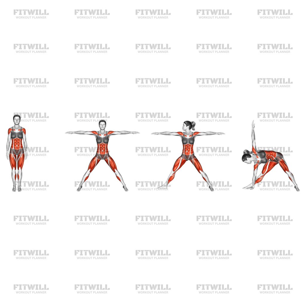 Triangle Pose Trikonasana: Guide, Techniques, Benefits, How to, Muscles ...