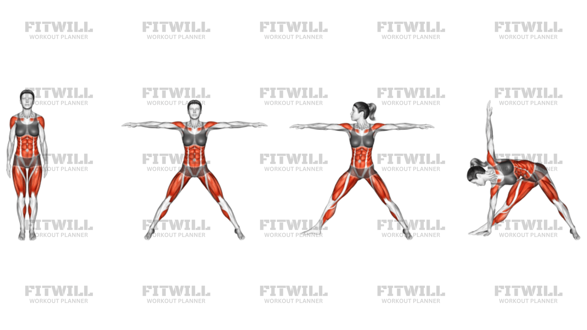 Triangle Pose Trikonasana: Exercise Guide, Techniques, Benefits, How to ...